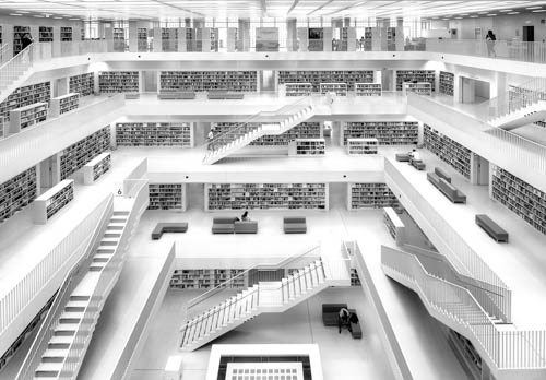 psa ribbon-snakes and ladders-les forrester arps dpagb efiap bpe3 ...