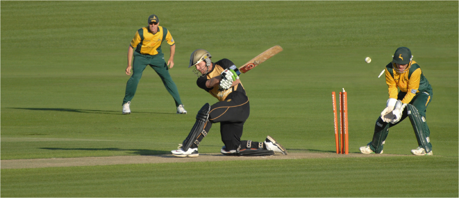 The Last Wicket to Fall – David Keel – Smethwick Photographic Society